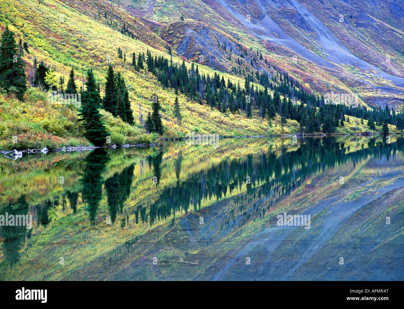Fall foliage covered mountainside reflected on lake surface Stock Photo ...
