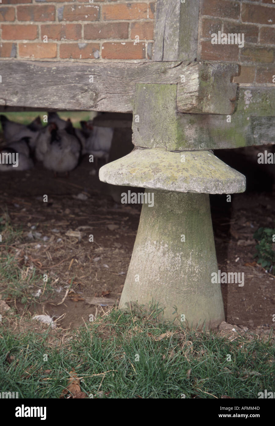 Staddle stones under a grain store at the Weald and Downland museum ...