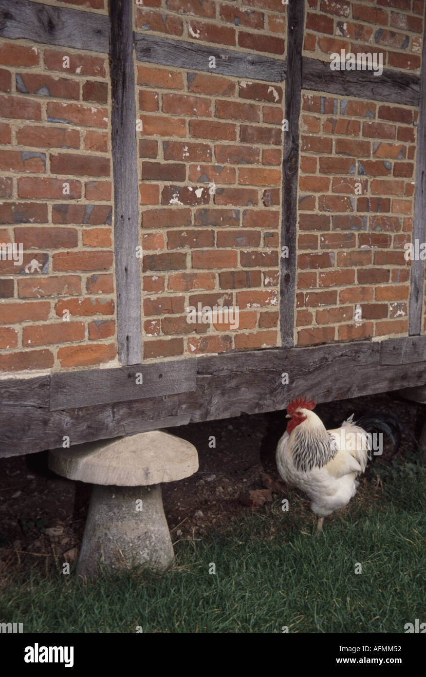 Staddle stones under a grain store at the Weald and Downland museum ...
