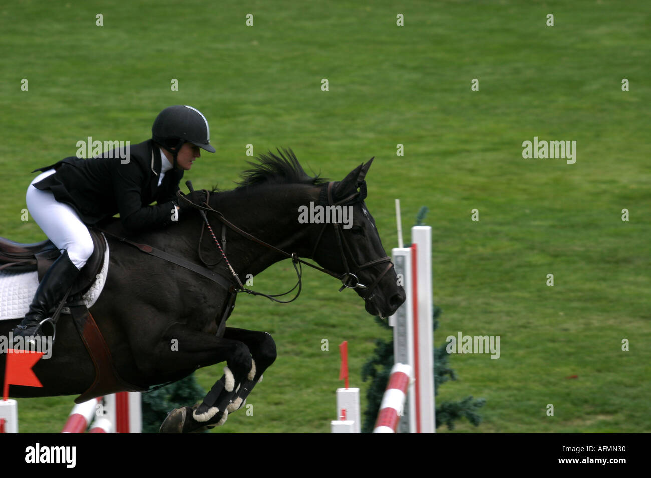 Team canada equestrian hi-res stock photography and images - Alamy