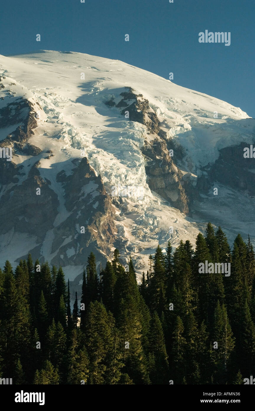 USA WASHINGTON, Cascade Range, Mount Rainier National Park, PARADISE ...