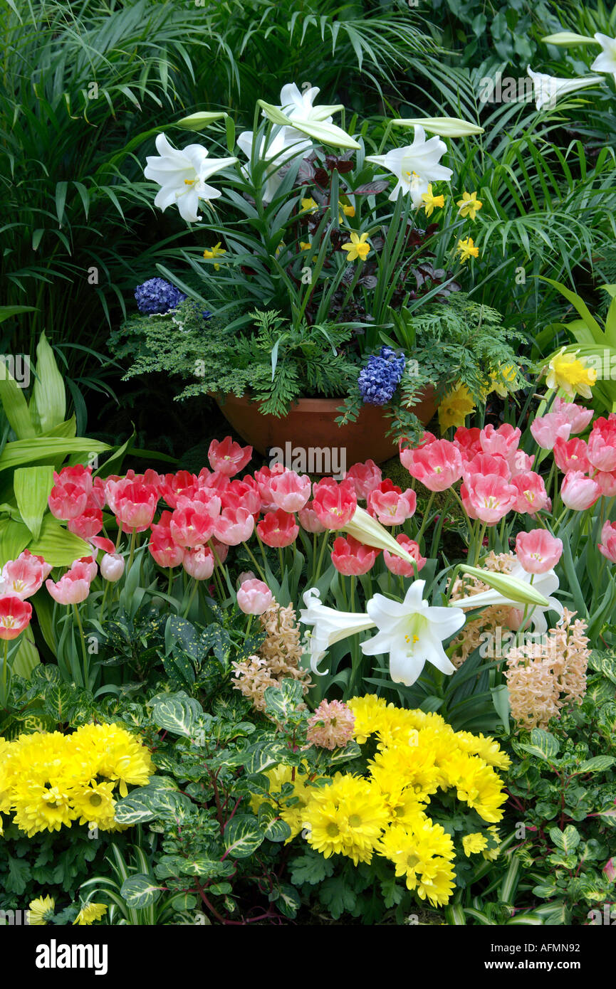 Indoor spring flower garden at the Conservatory of the Assiniboine Park ...
