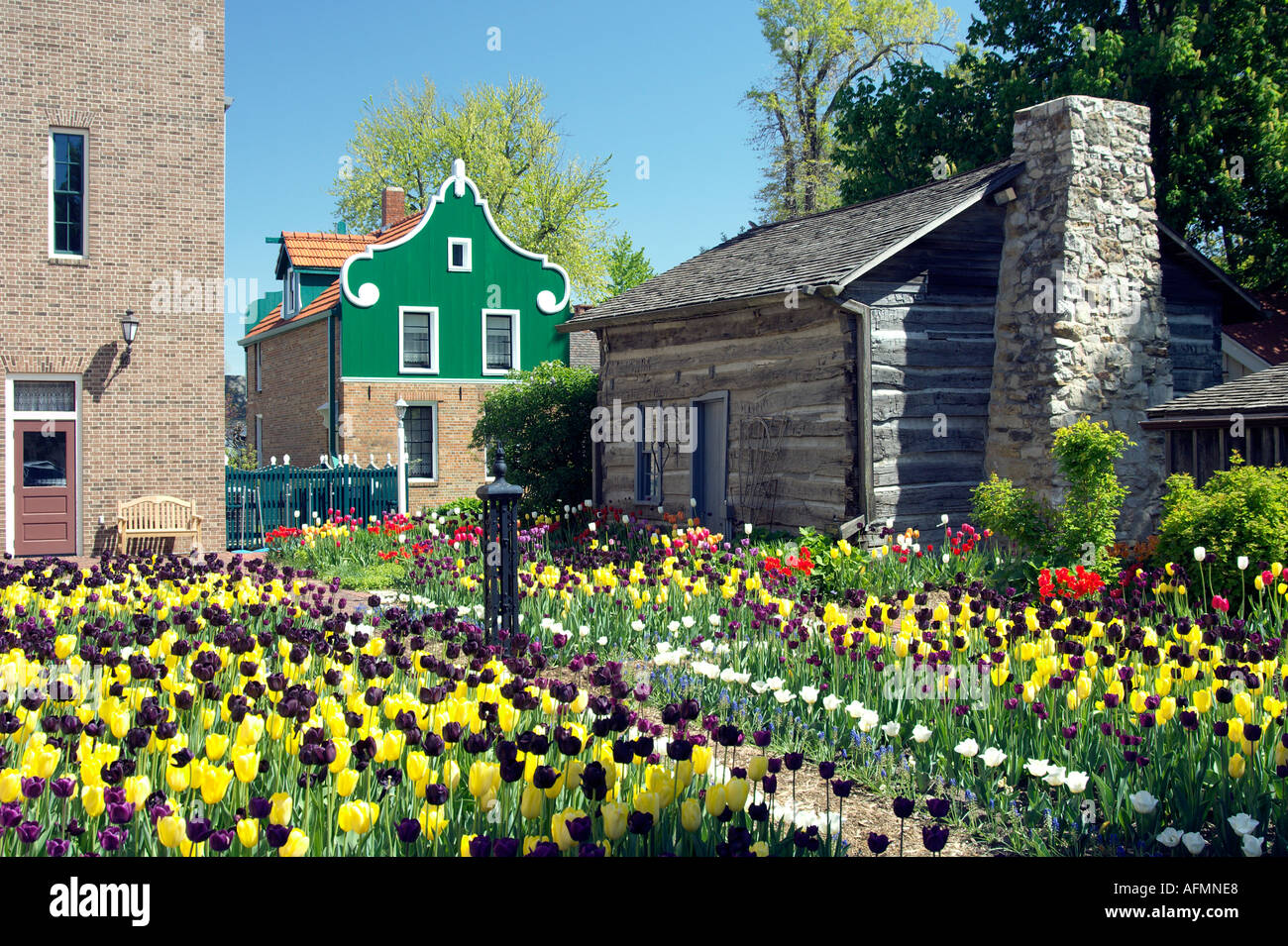 A yard filled with tulips in the Historical Dutch Village in Pella Iowa ...