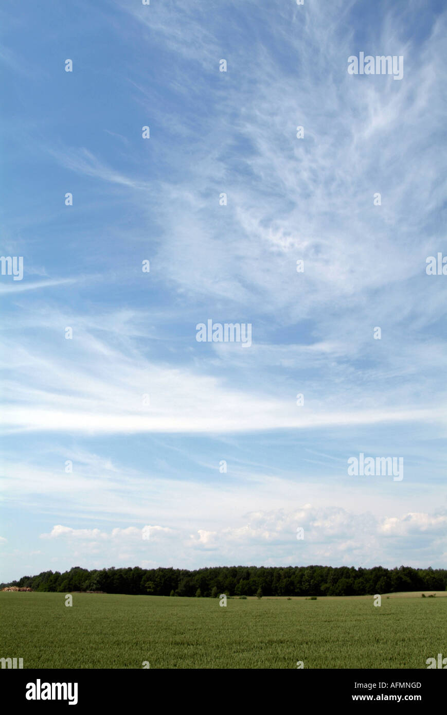 Swedish agriculture hi-res stock photography and images - Alamy