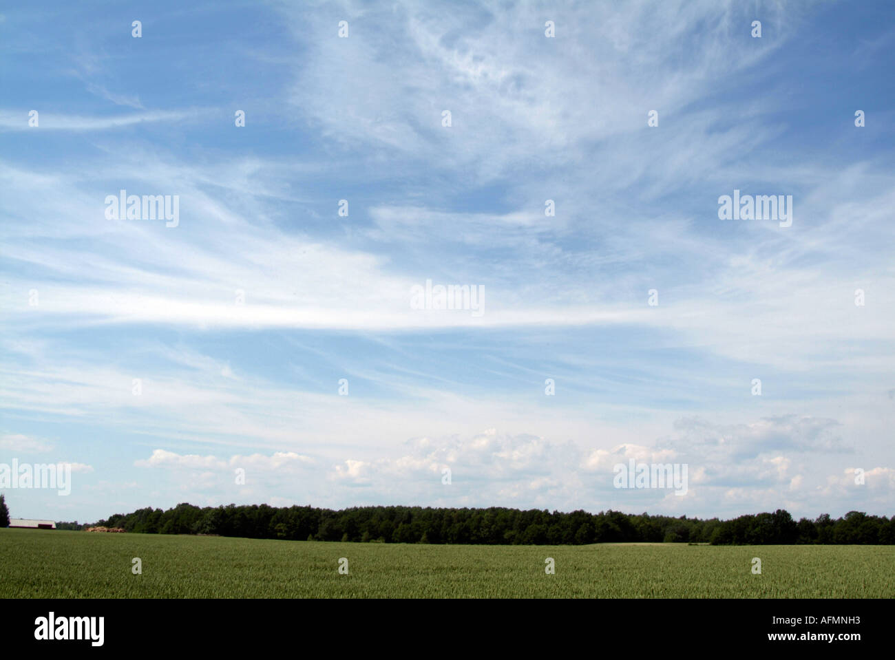Swedish agriculture hi-res stock photography and images - Alamy