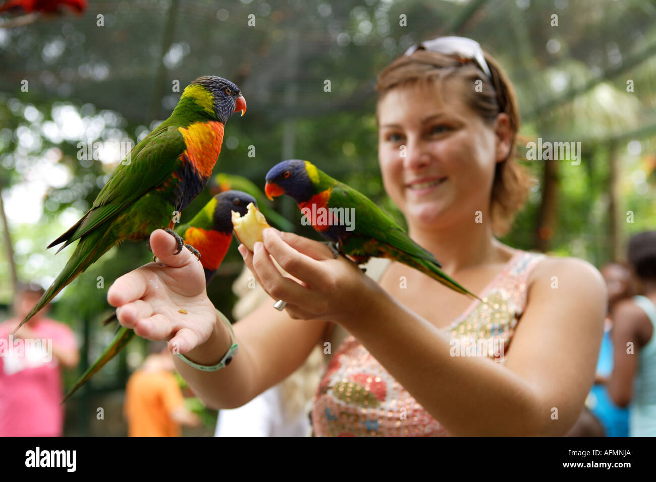 Feeding Lory Parrot’s at Ardastra Gardens, Zoo & Conservation Centre ...