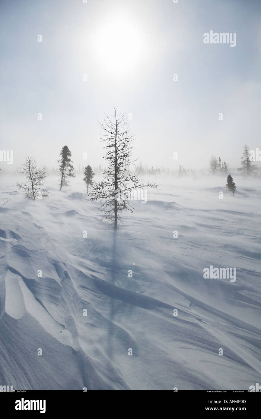 Winter landscape Manitoba Canada Stock Photo - Alamy