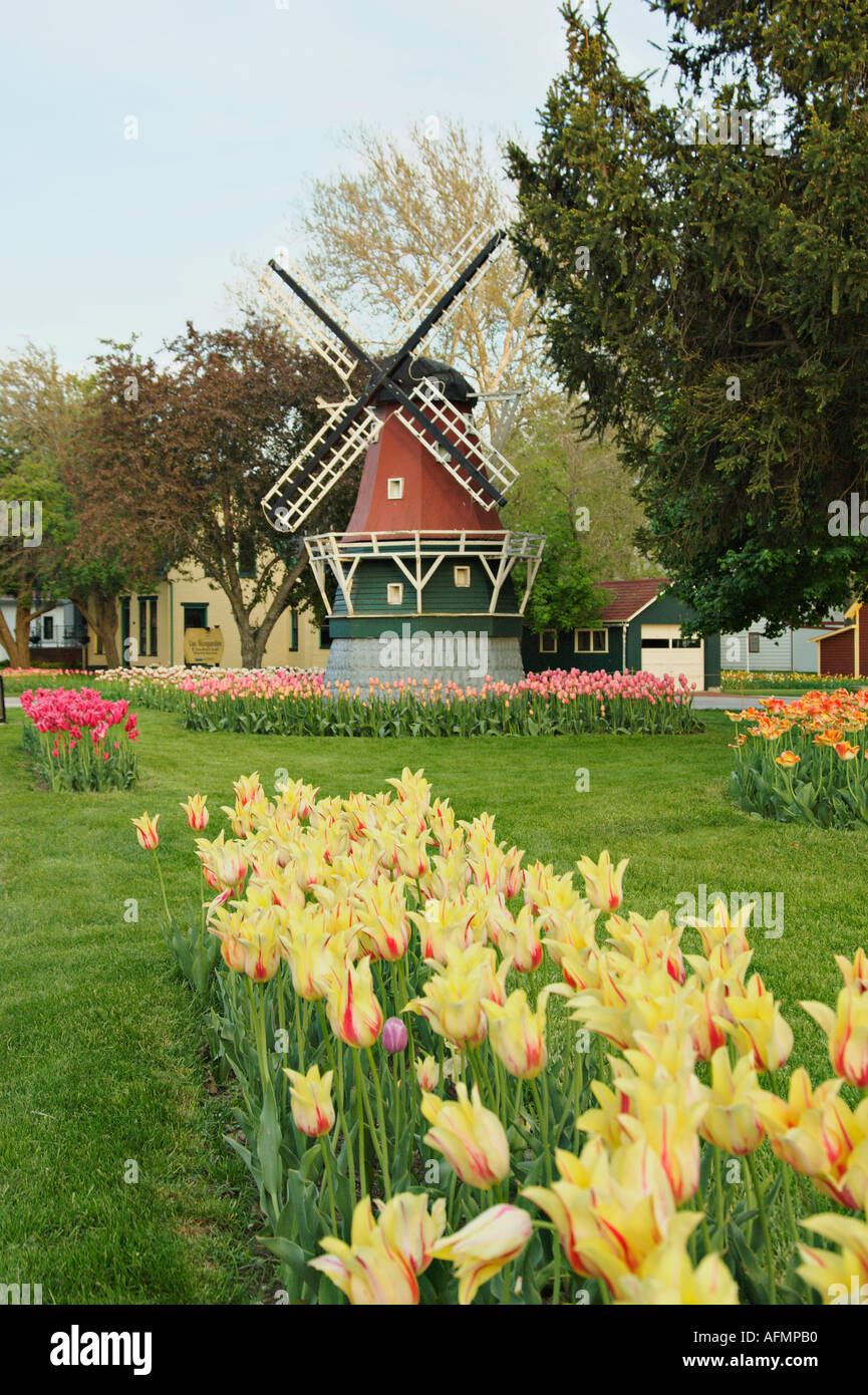 Usa iowa pella dutch windmill hi-res stock photography and images - Alamy