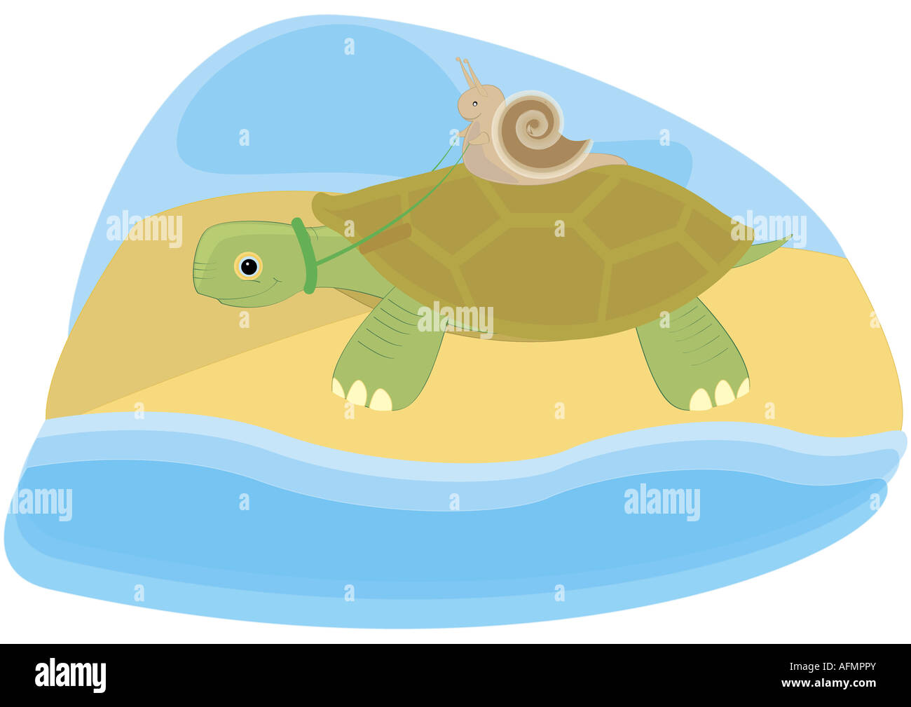 Snail riding on the back of a tortoise Stock Photo - Alamy