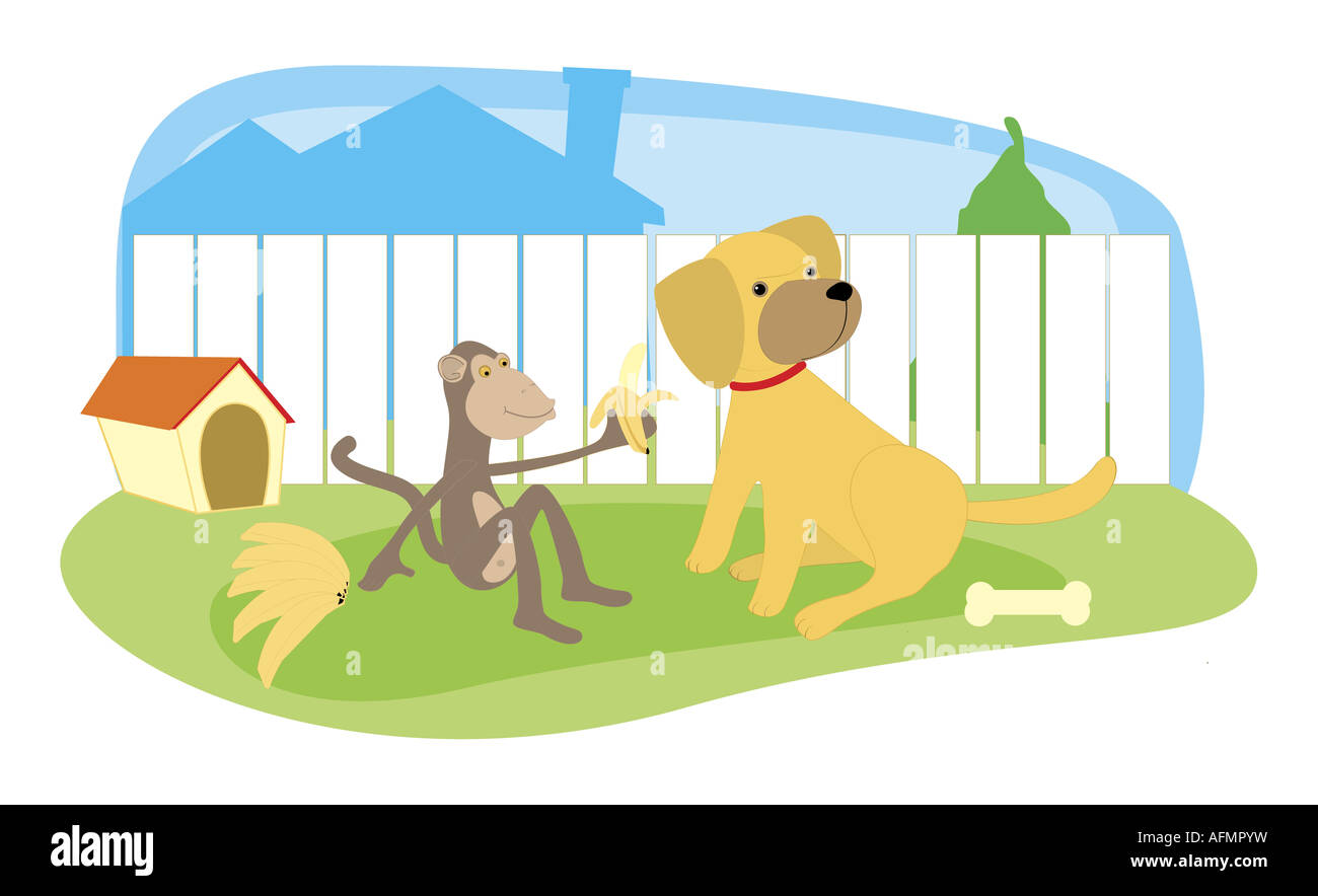Dog and a monkey sitting together near a kennel hi-res stock ...