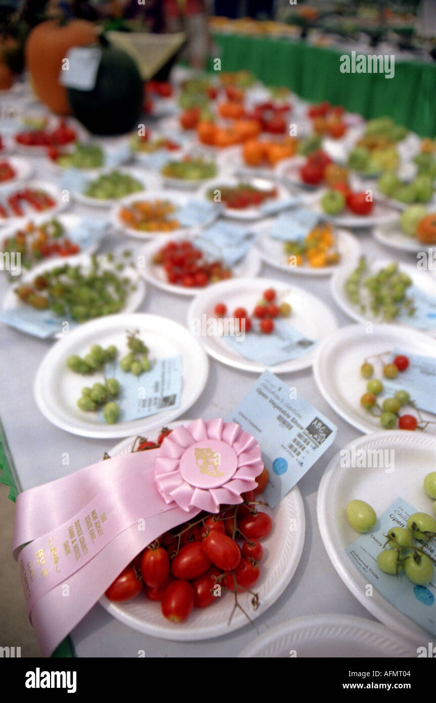 Prize winning vegetables in a state agricultural fair Stock Photo - Alamy