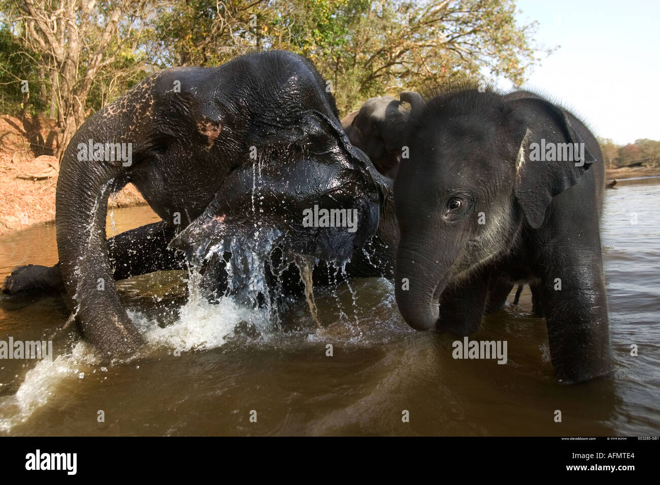 Group mothers and babies india hi-res stock photography and images - Alamy