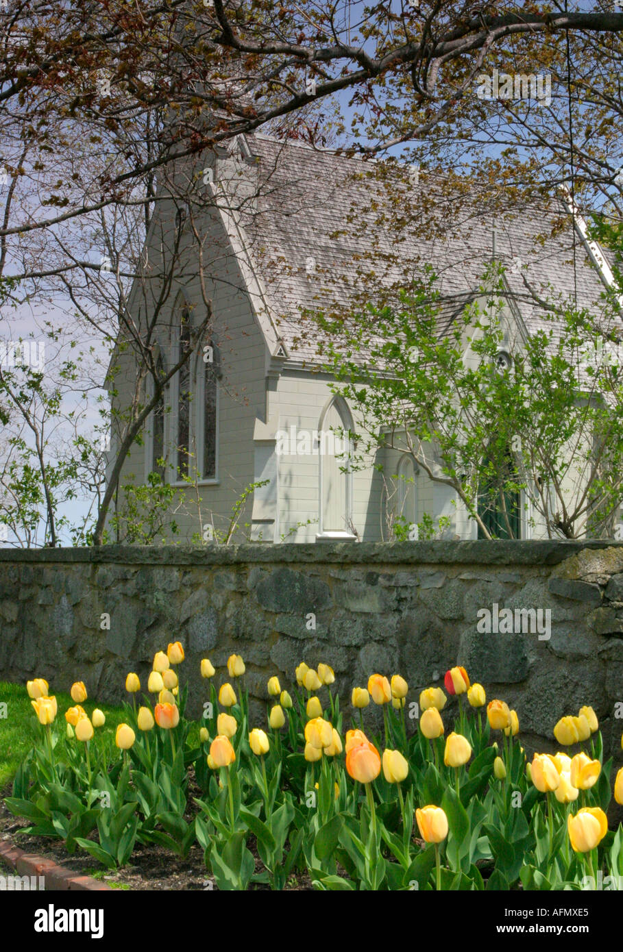 Tulips in bloom at historic Union Chapel at Little Boars Head in North ...