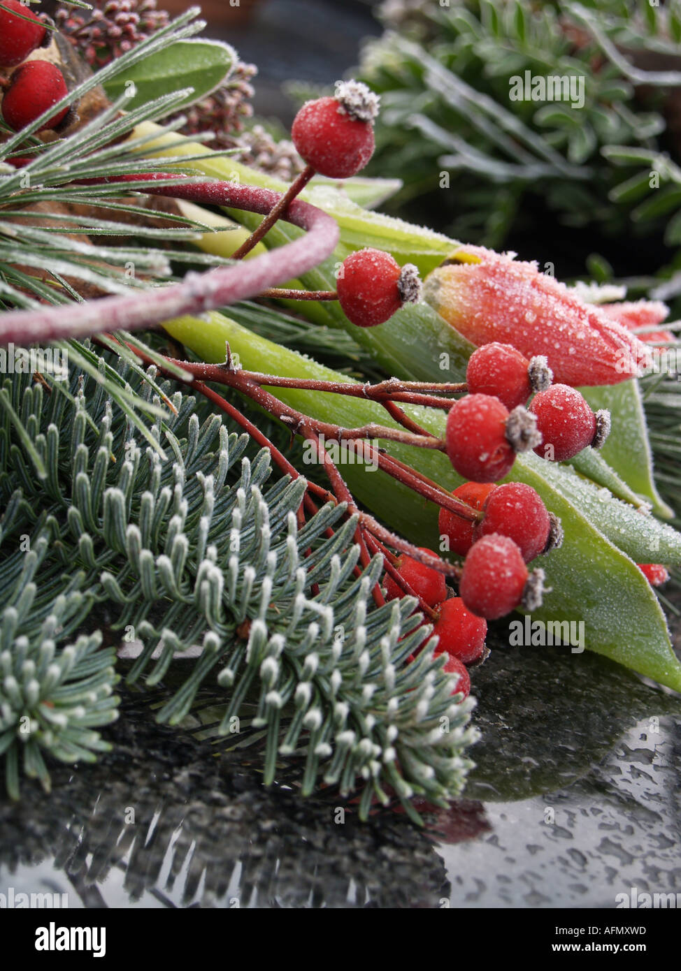 frost covered decorative flower arrangement with red berries Stock ...