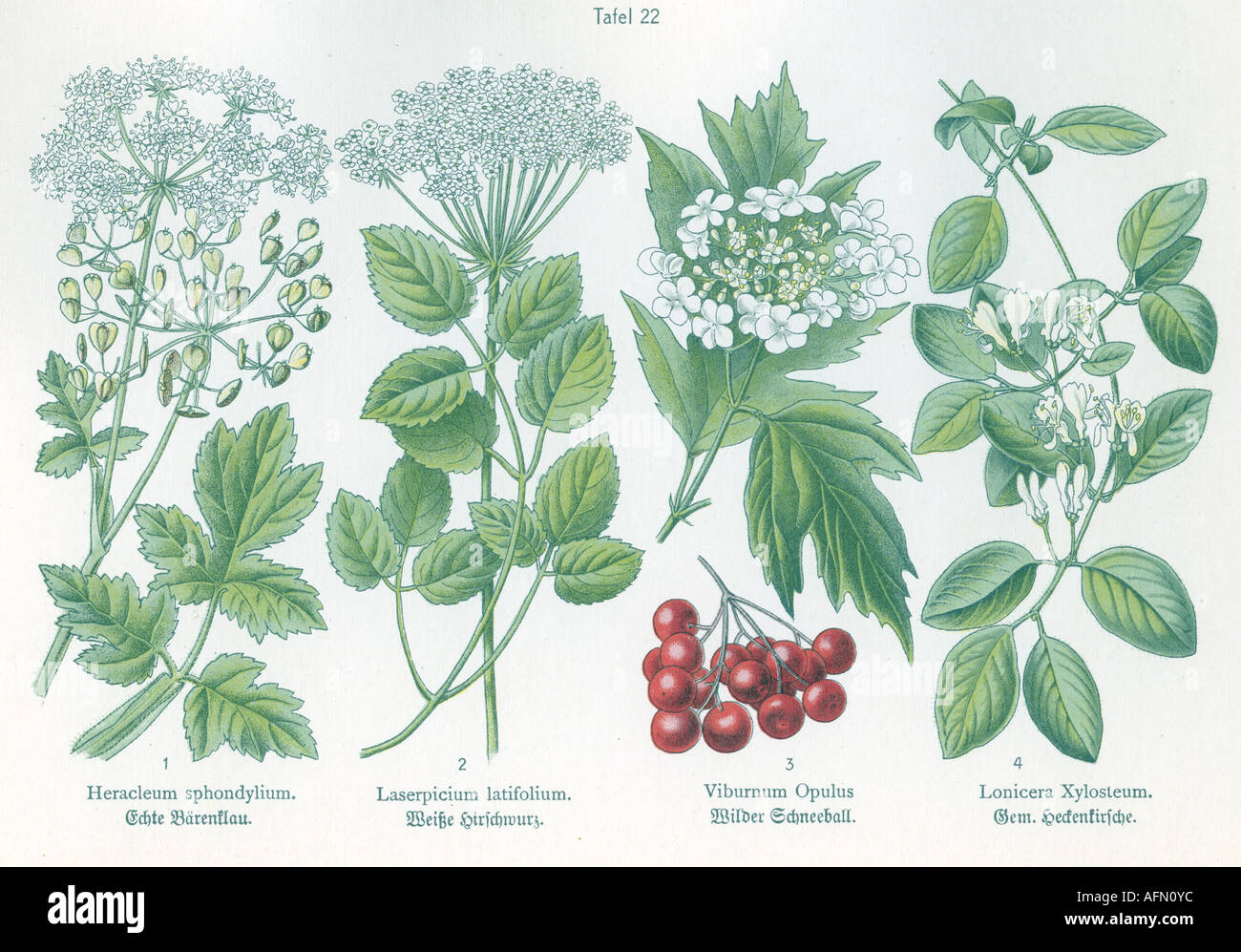 Sermountain hi-res stock photography and images - Alamy