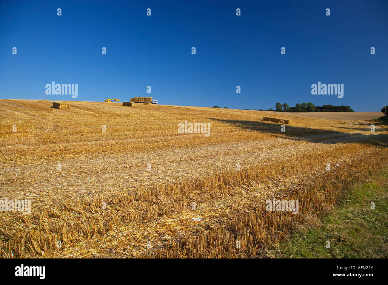 Loading Straw Bales, England, UK Stock Photo - Alamy