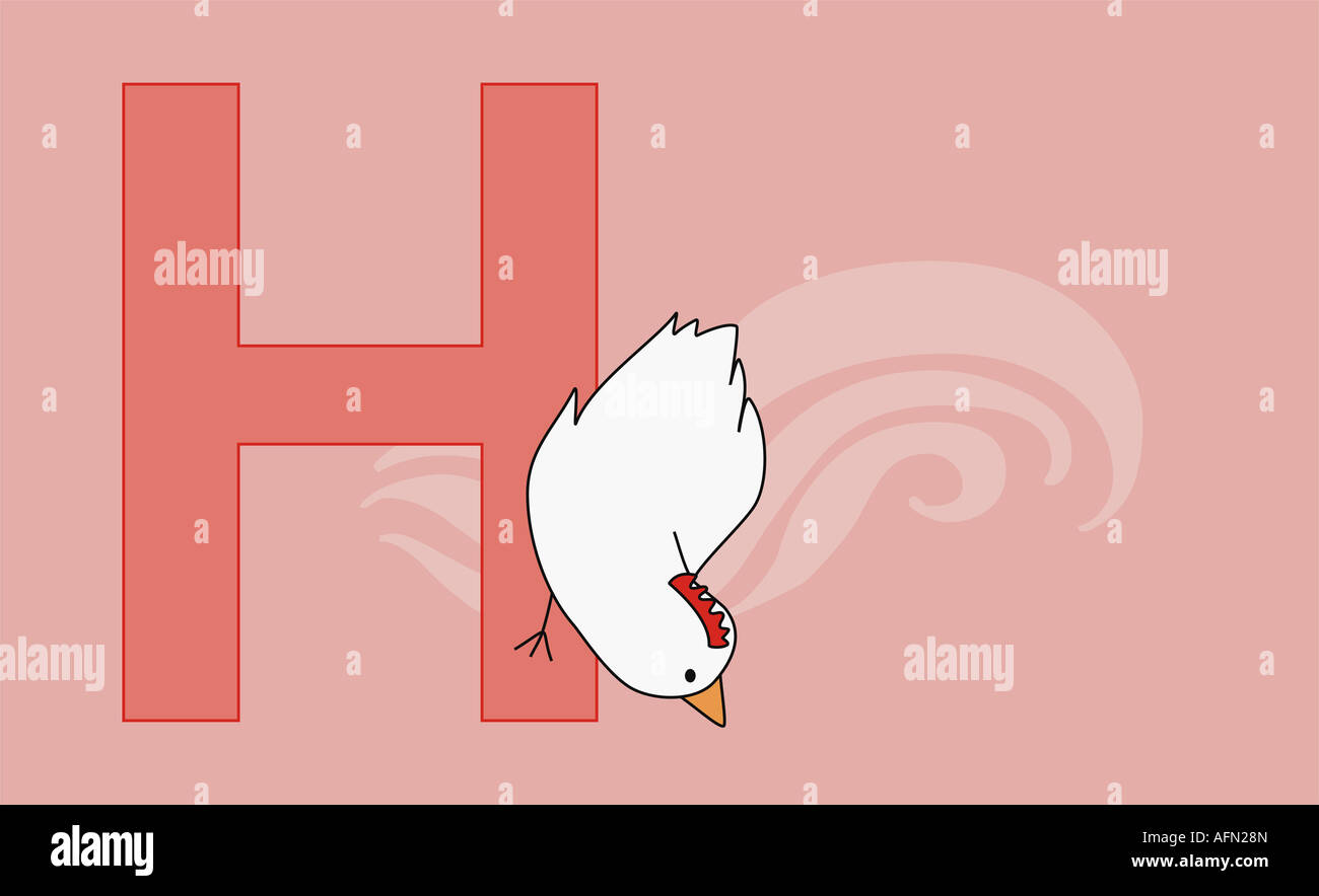 The letter H with a hen Stock Photo - Alamy