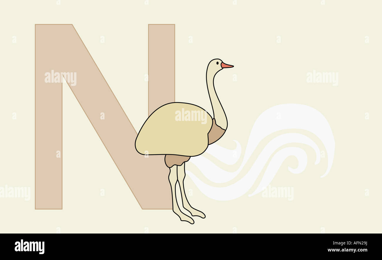Letter a and n hi-res stock photography and images - Alamy