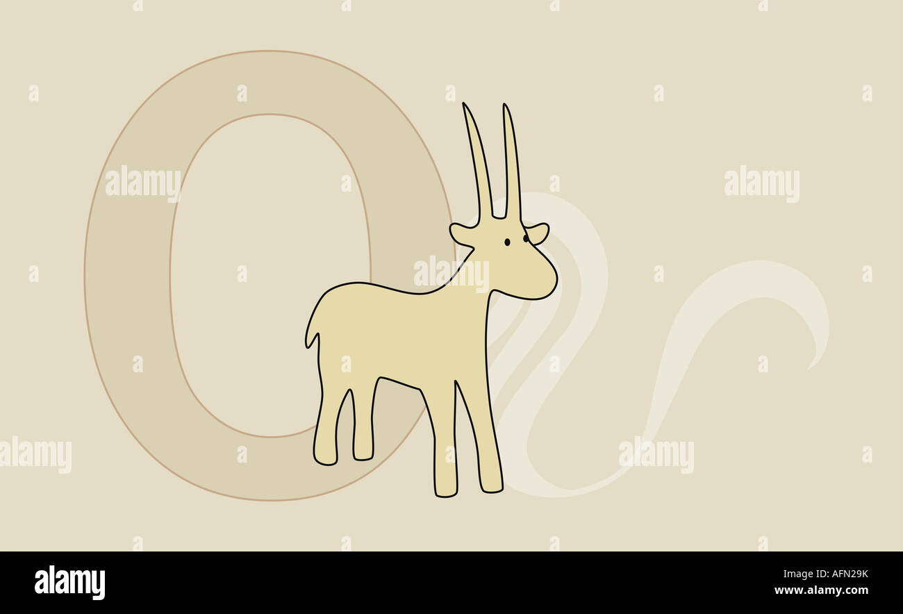 The letter O with an ox Stock Photo - Alamy