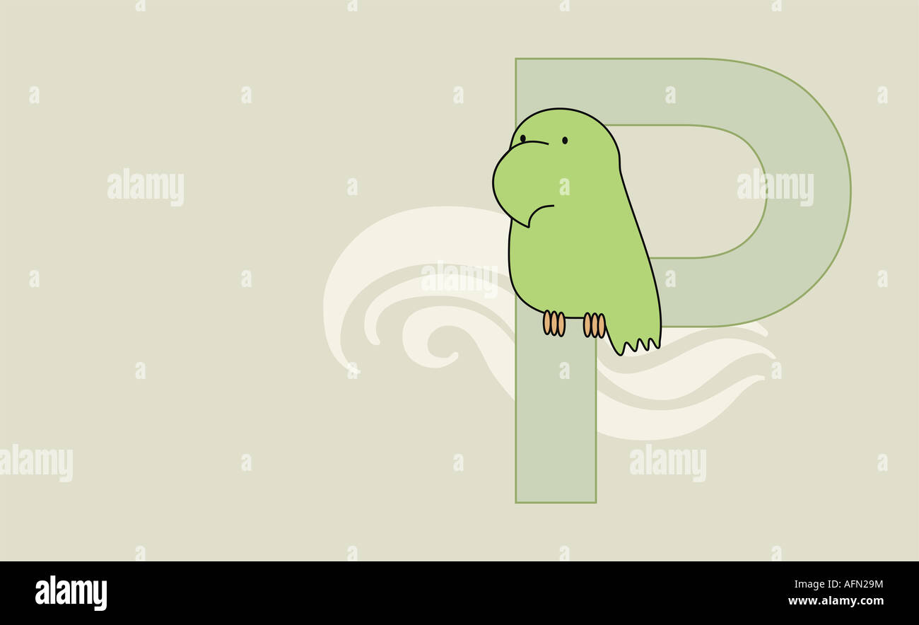 The letter P with a parrot Stock Photo - Alamy