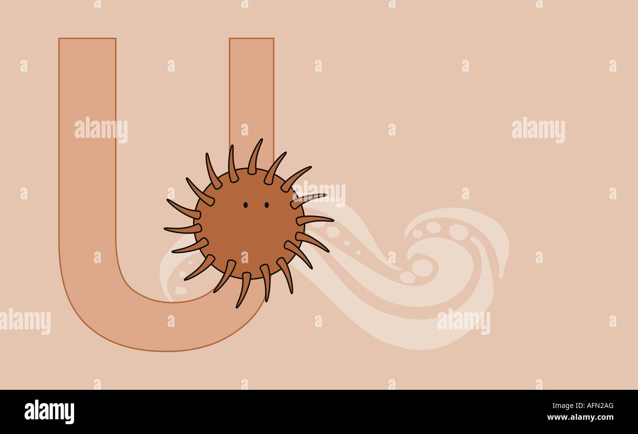 The letter U with an animal Stock Photo - Alamy