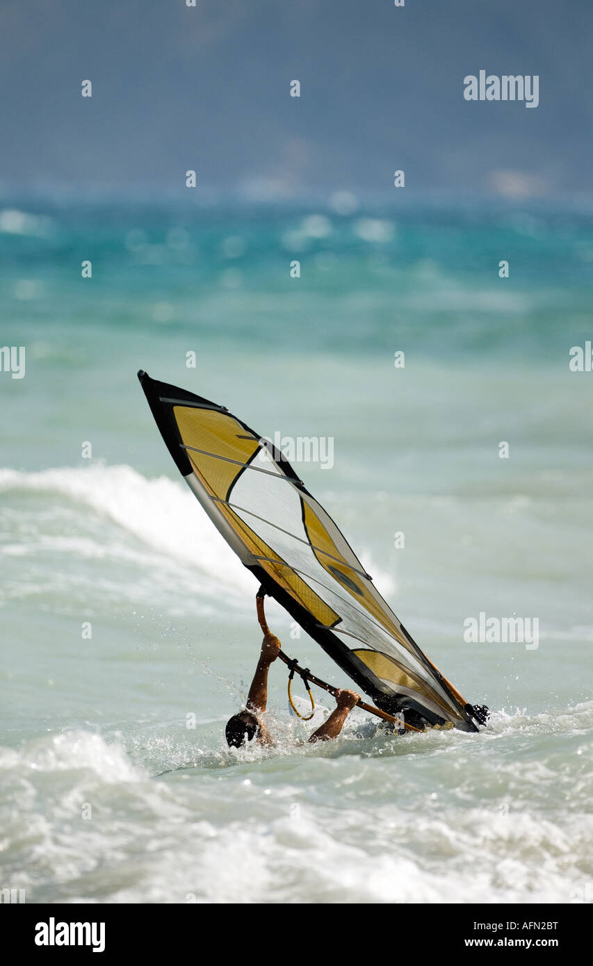 Board for surfing hi-res stock photography and images - Alamy