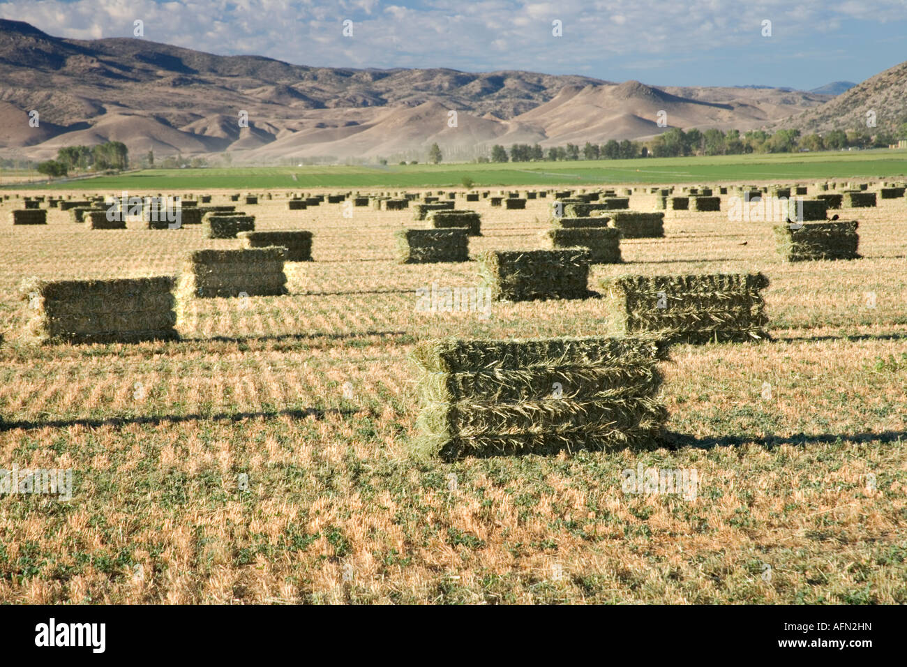 Grass valley nevada county hi-res stock photography and images - Alamy