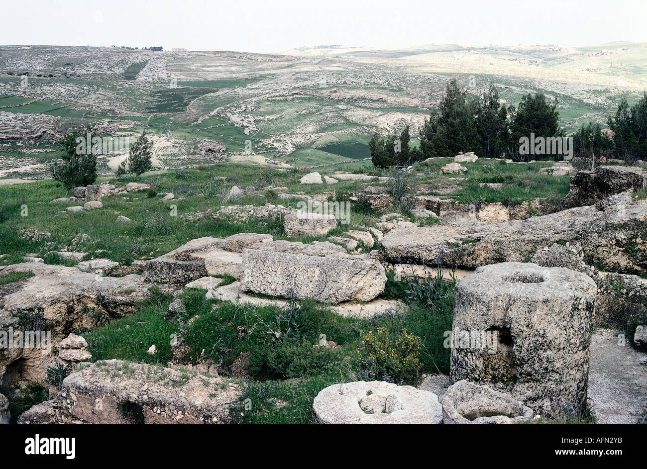 geography / travel, Israel, Bethlehem, landscape / landscapes, fields ...