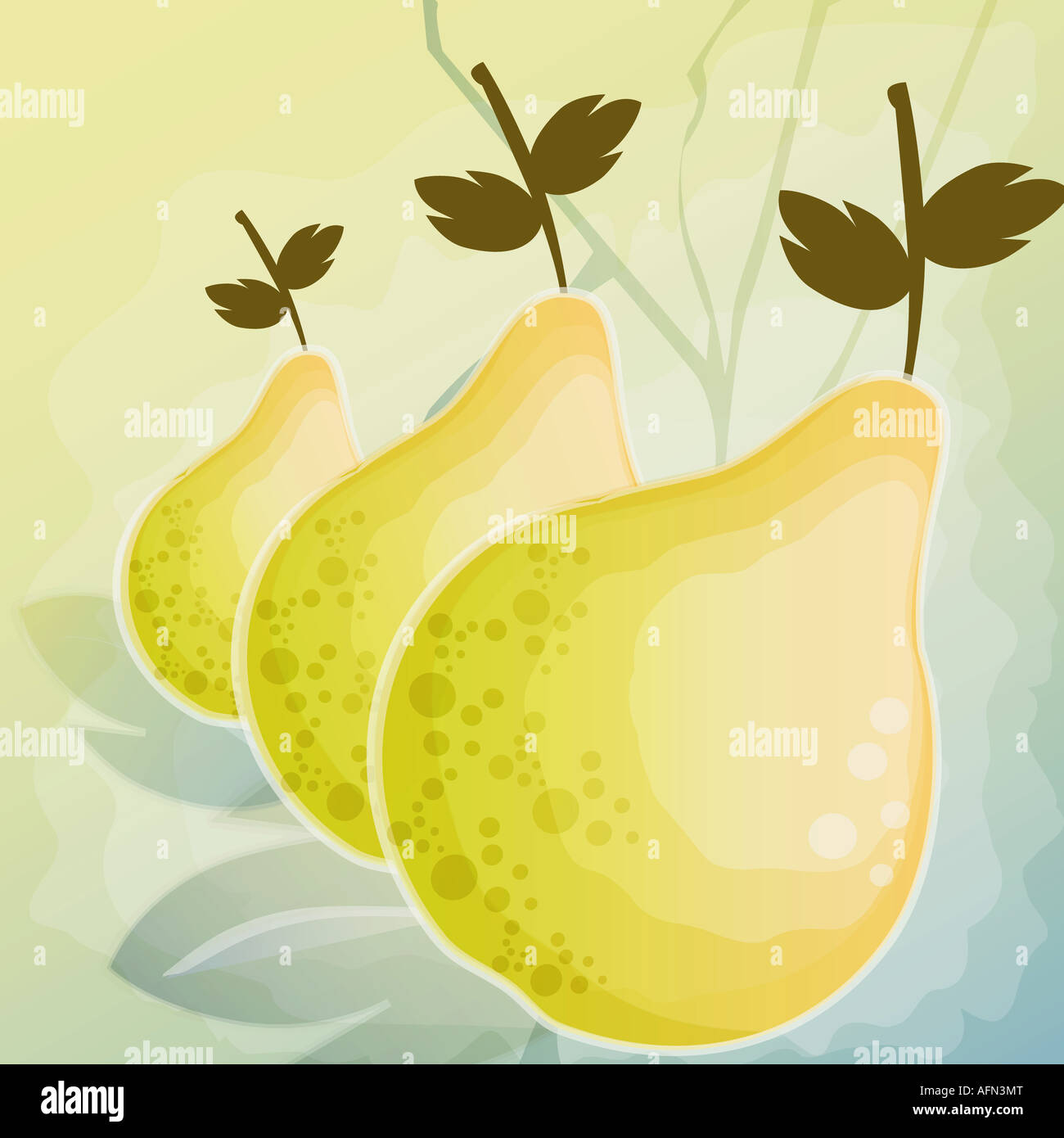 Square pear shape hi-res stock photography and images - Alamy