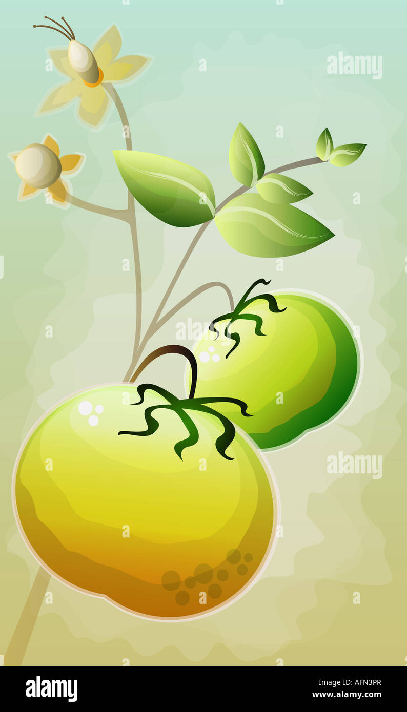 Is202 hi-res stock photography and images - Alamy