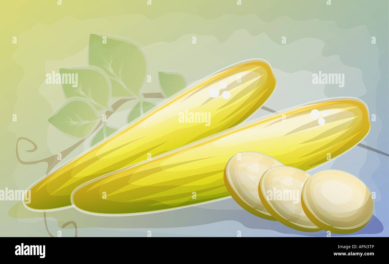 Two cucumbers with slices Stock Photo - Alamy