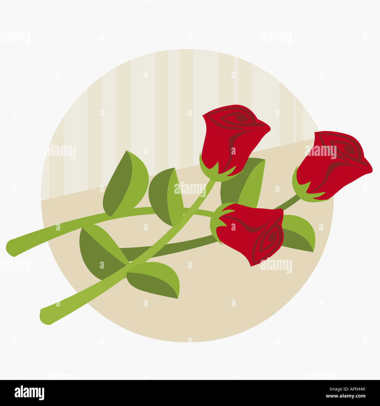 Three roses hi-res stock photography and images - Alamy