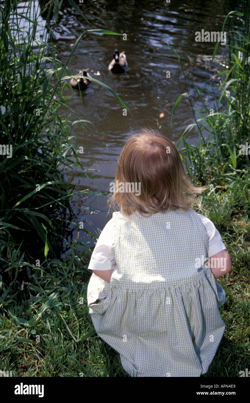 Child Watches Bird High Resolution Stock Photography and Images - Alamy