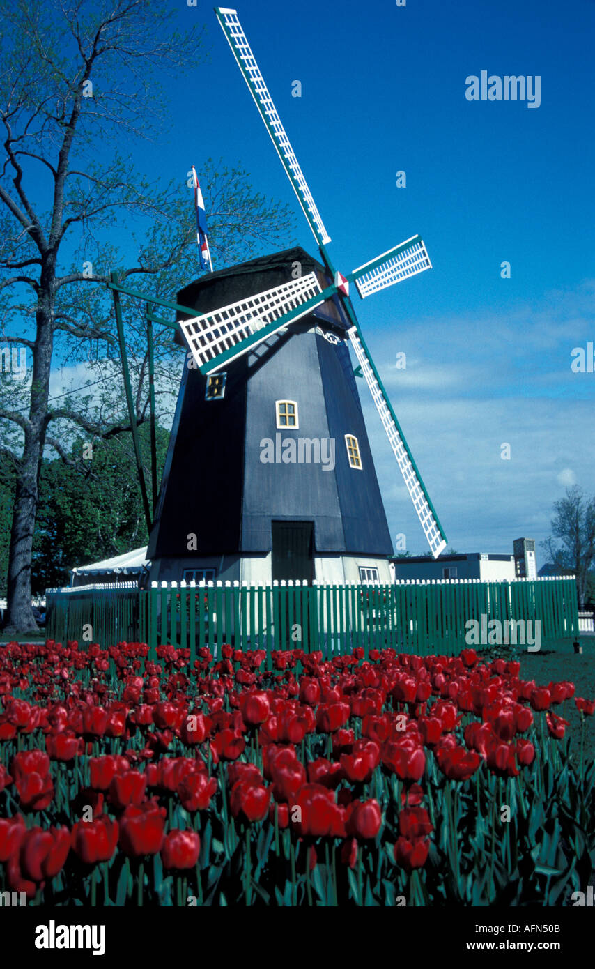 Windmill Ottawa Tulip Festival Ontario Canada Stock Photo - Alamy