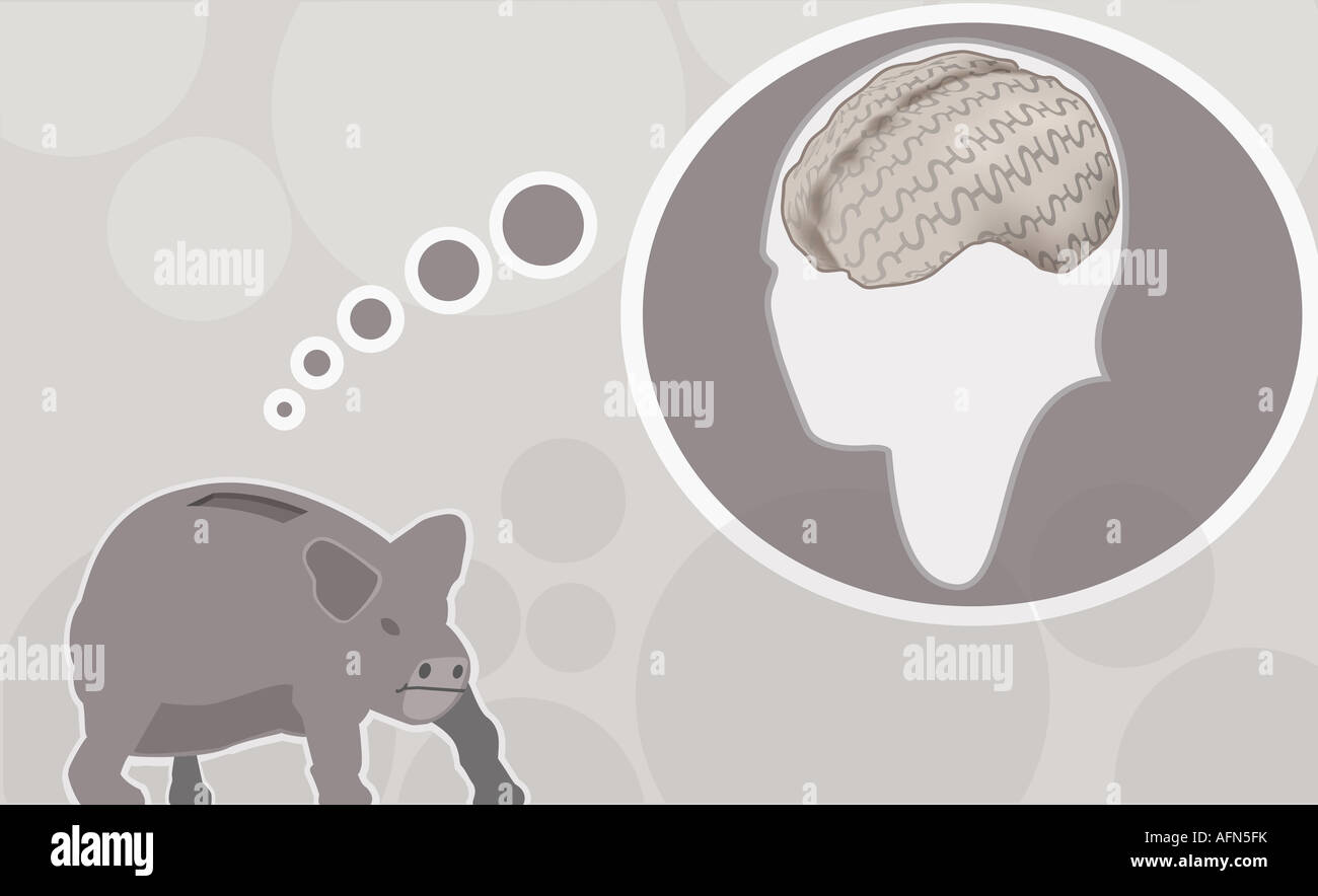 Pig evolution hi-res stock photography and images - Alamy