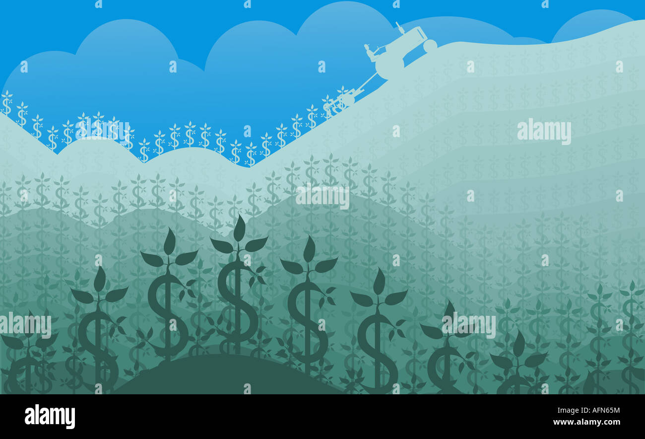 Crop dollar signs field hi-res stock photography and images - Alamy