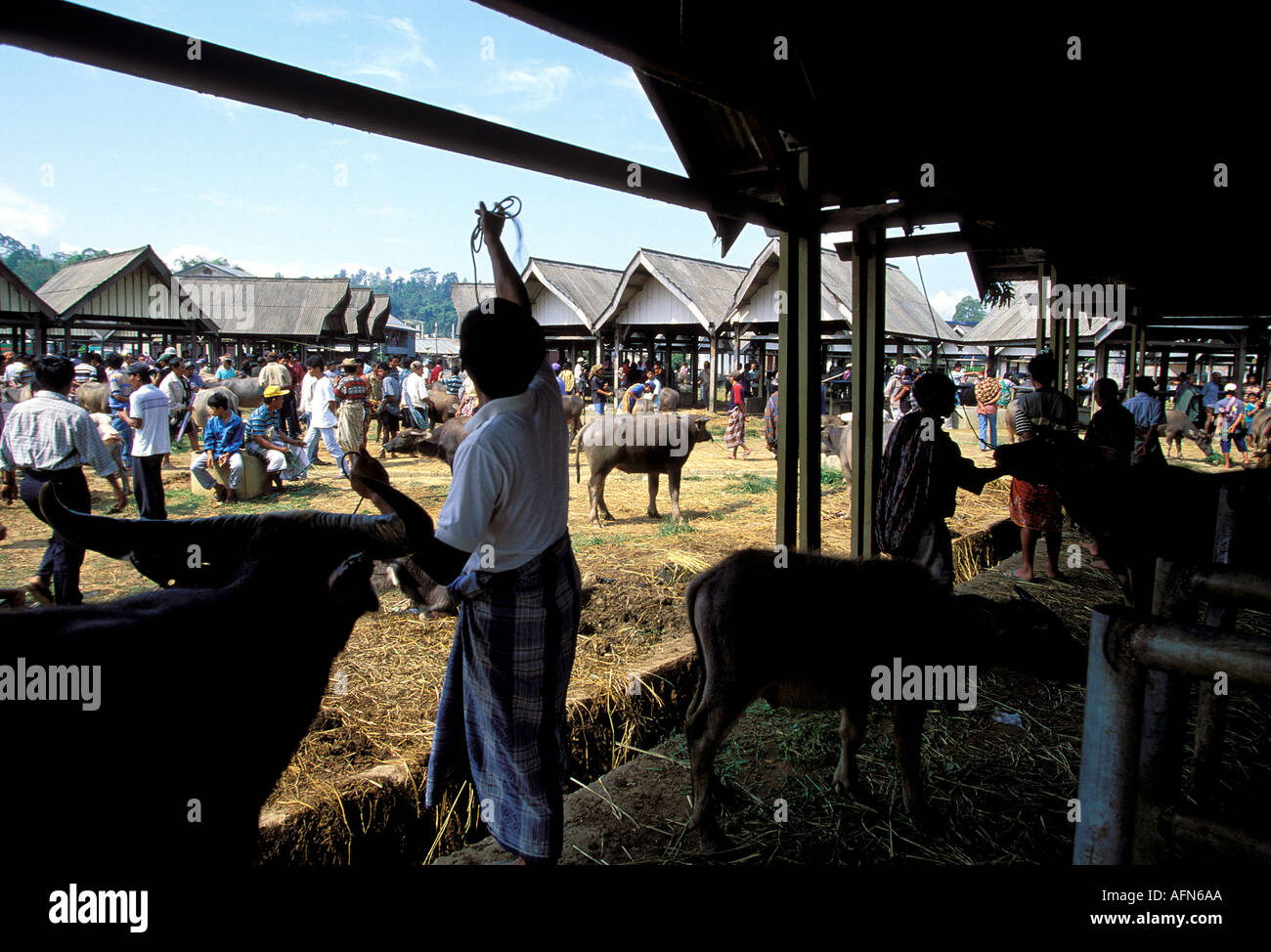 Bulo bulo hi-res stock photography and images - Alamy