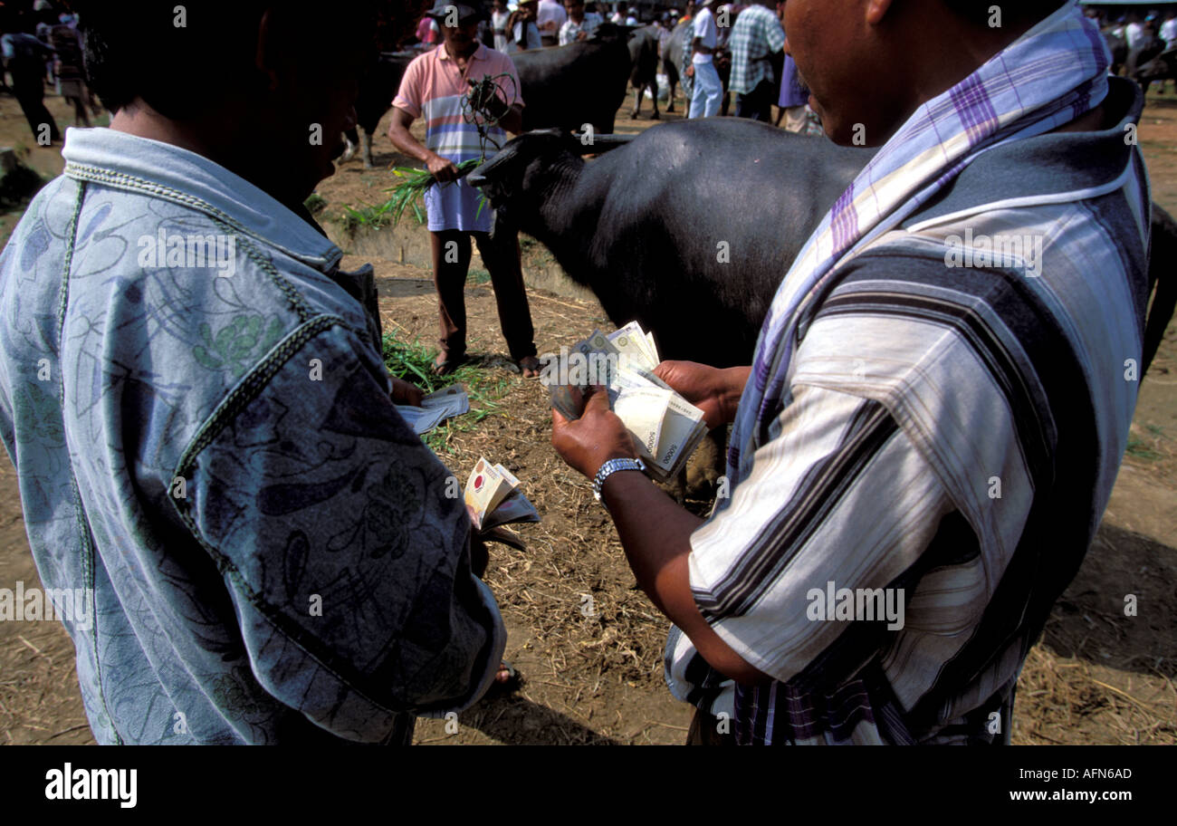 Bulo bulo hi-res stock photography and images - Alamy