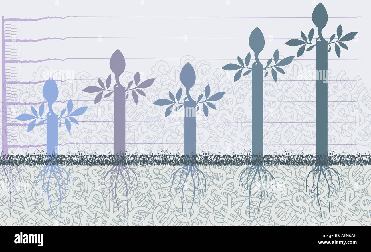 Roots of plants Stock Photo - Alamy