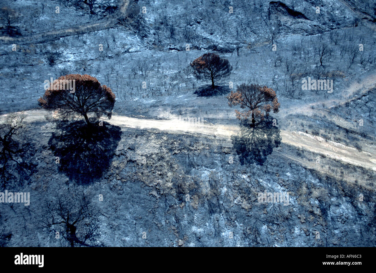 Aerial view of Spanish road Stock Photo - Alamy
