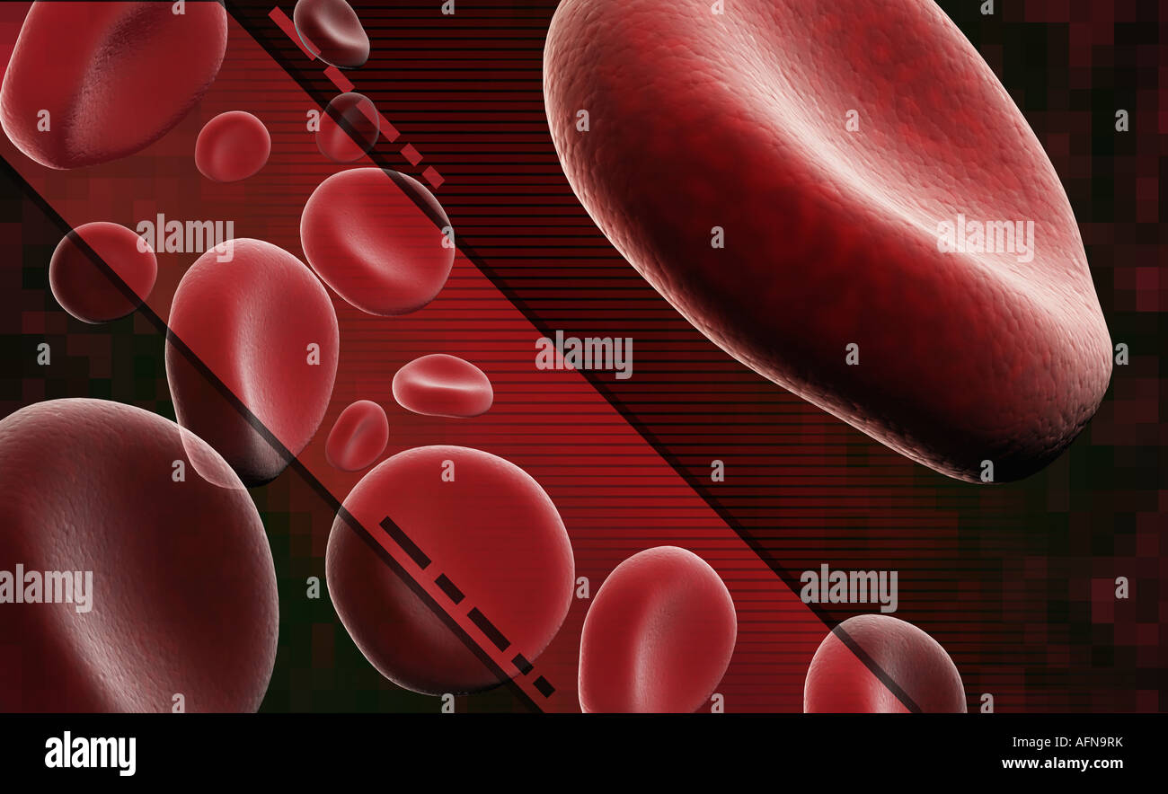 Close-up of human cells Stock Photo - Alamy