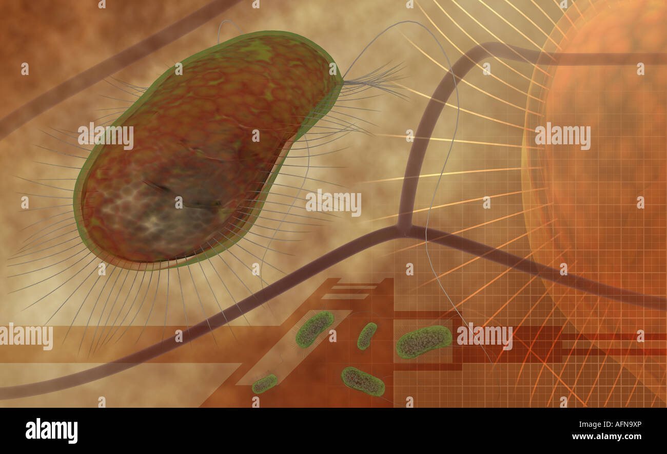 Microscopic view of human cells Stock Photo - Alamy