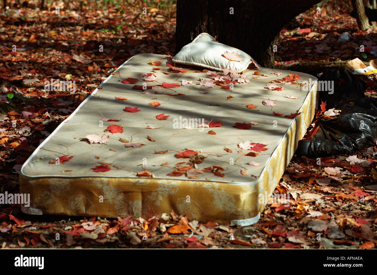 Autumn leaves fall on a bed in an illegal camp for the homeless on the ...