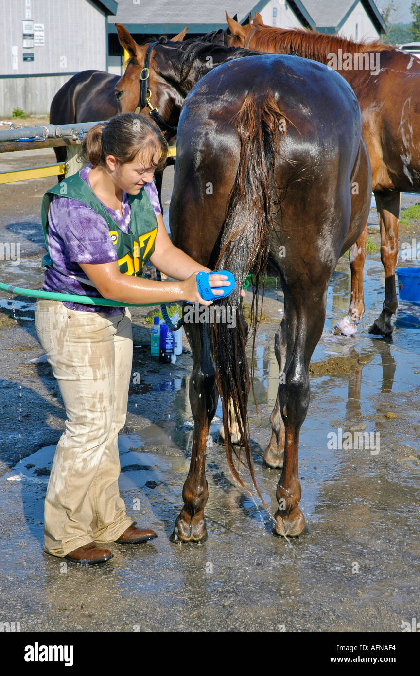 Contestants wash bathe and care for their horse prior to an equestrian ...