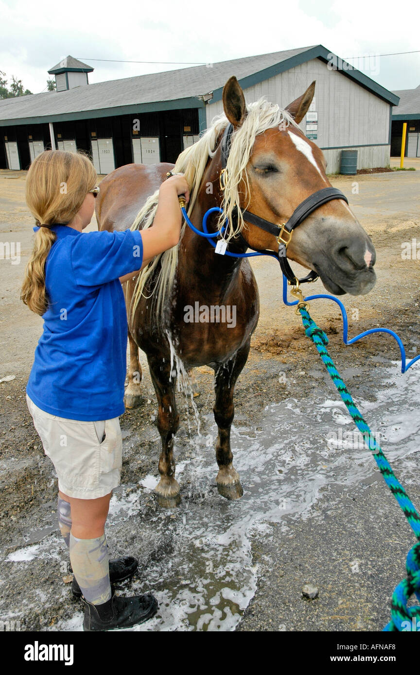 Contestants wash bathe and care for their horse prior to an equestrian ...