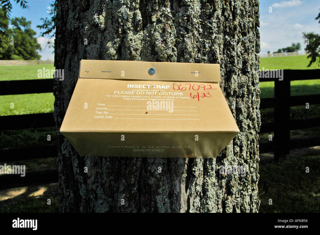 Government insect trap for plant protection program Stock Photo - Alamy
