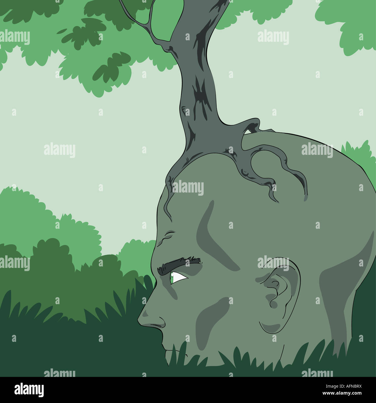 A tree head hi-res stock photography and images - Alamy