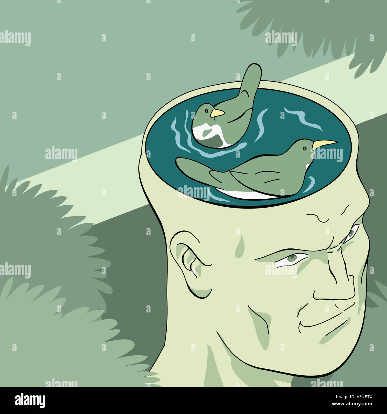 Birds in the head hi-res stock photography and images - Alamy