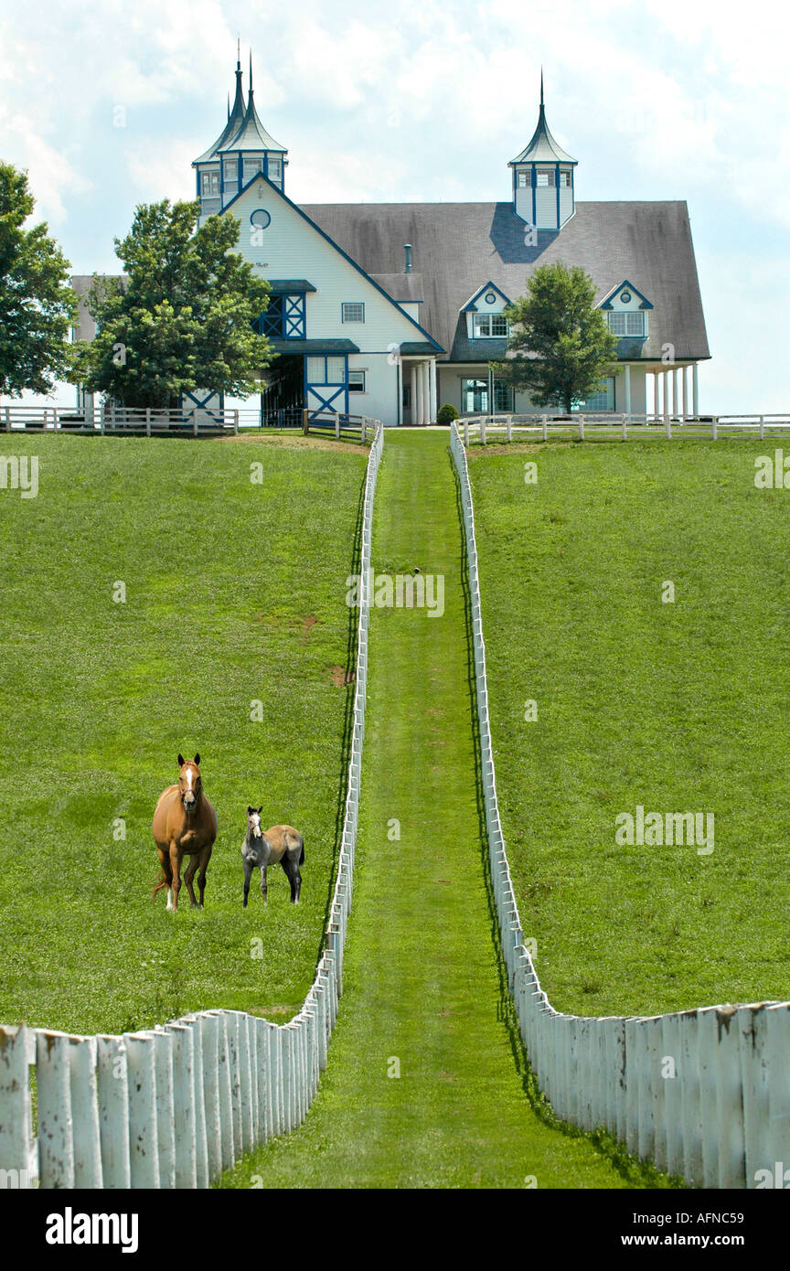 Kentucky Horse park and surrounding horse farms in Lexington KY Stock ...