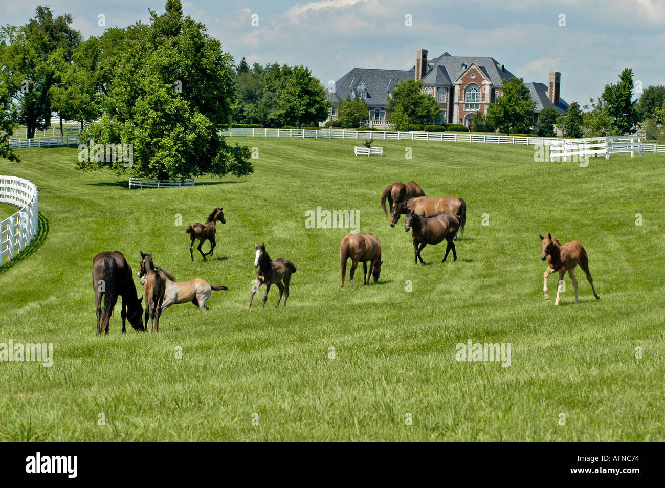 Kentucky Horse park and surrounding horse farms in Lexington KY Stock ...